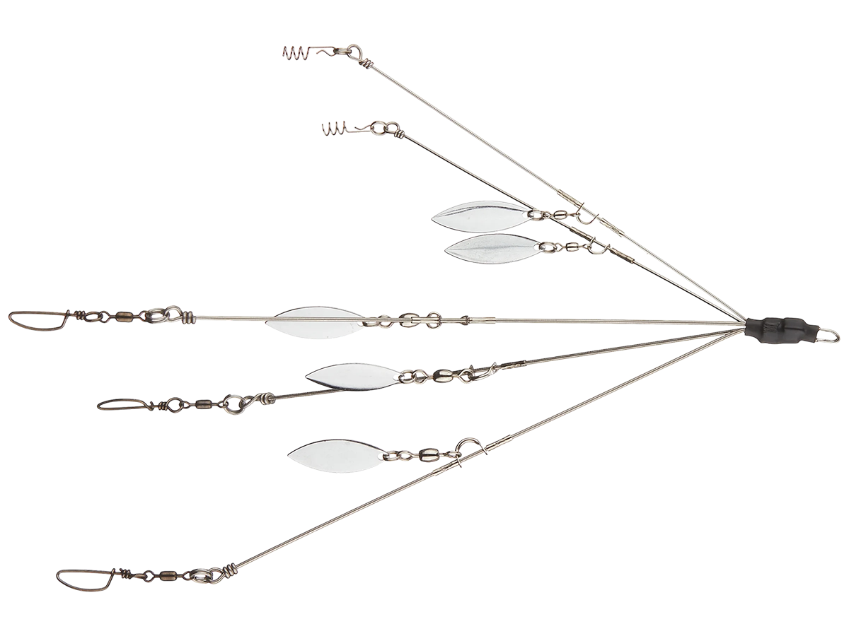 Bailey Rig Tourney Legal – The Bailey Rig