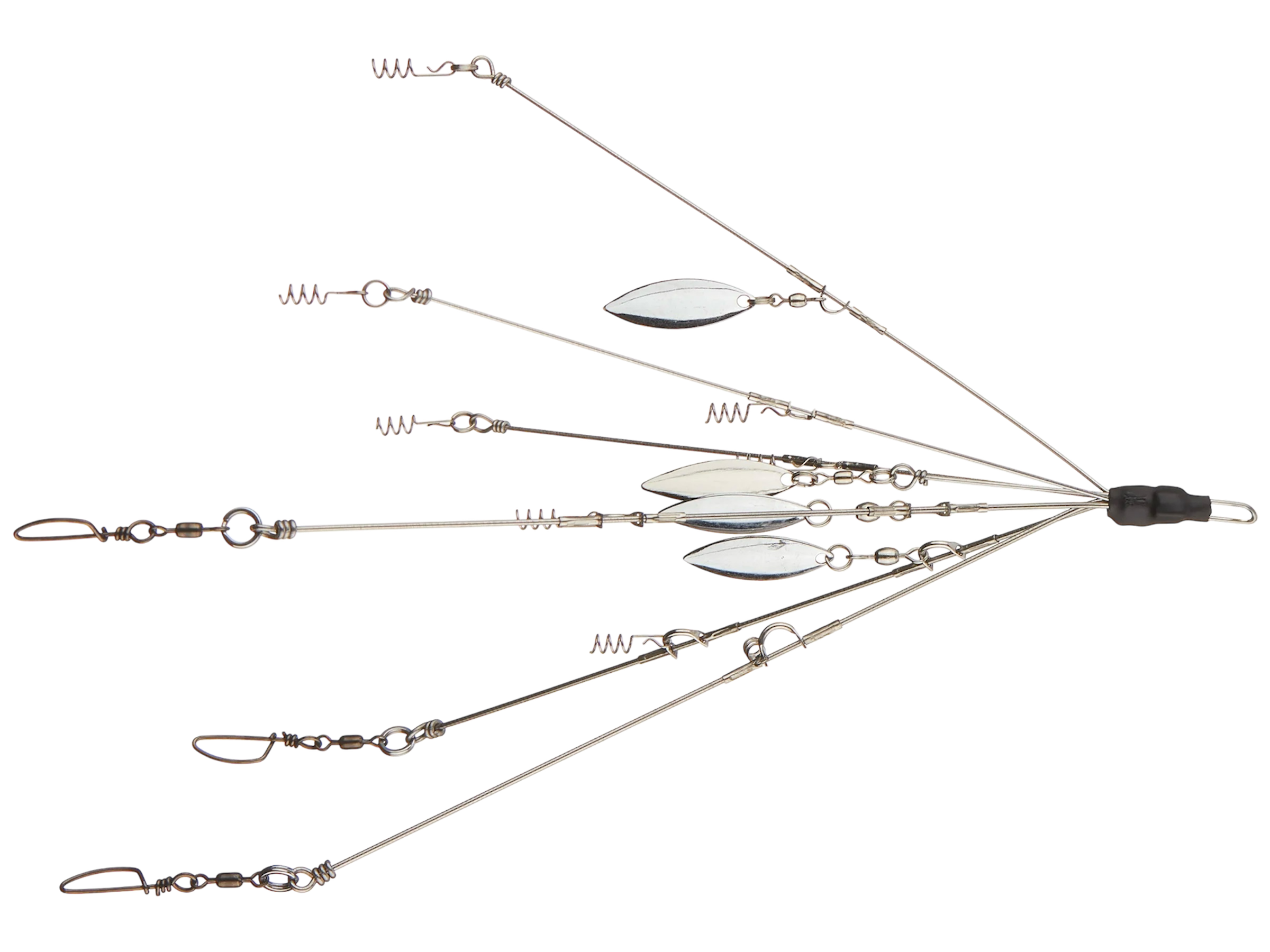 Bailey Rig Special – The Bailey Rig